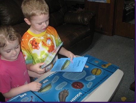Dottie's Homeschool Universe: Prehistory – Part 4 Vendian Period/Making ...